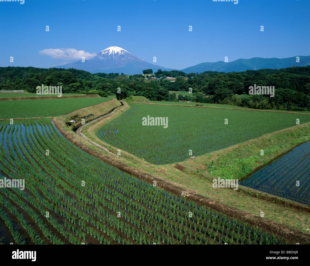 Mt fuji takenoshita hi-res stock photography and images - Alamy