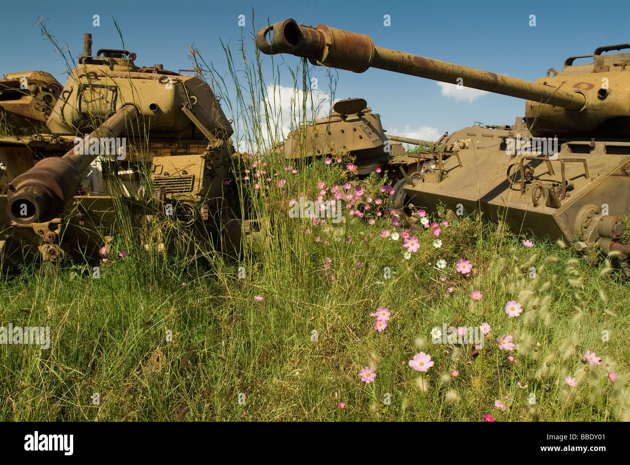 Tank Graveyard Iraq