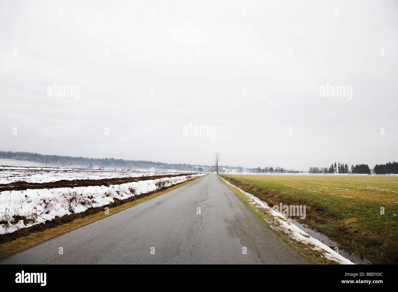 Power Lines Farm High Resolution Stock Photography and Images - Alamy