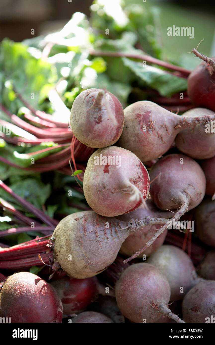 Grocery store beets hi-res stock photography and images - Alamy