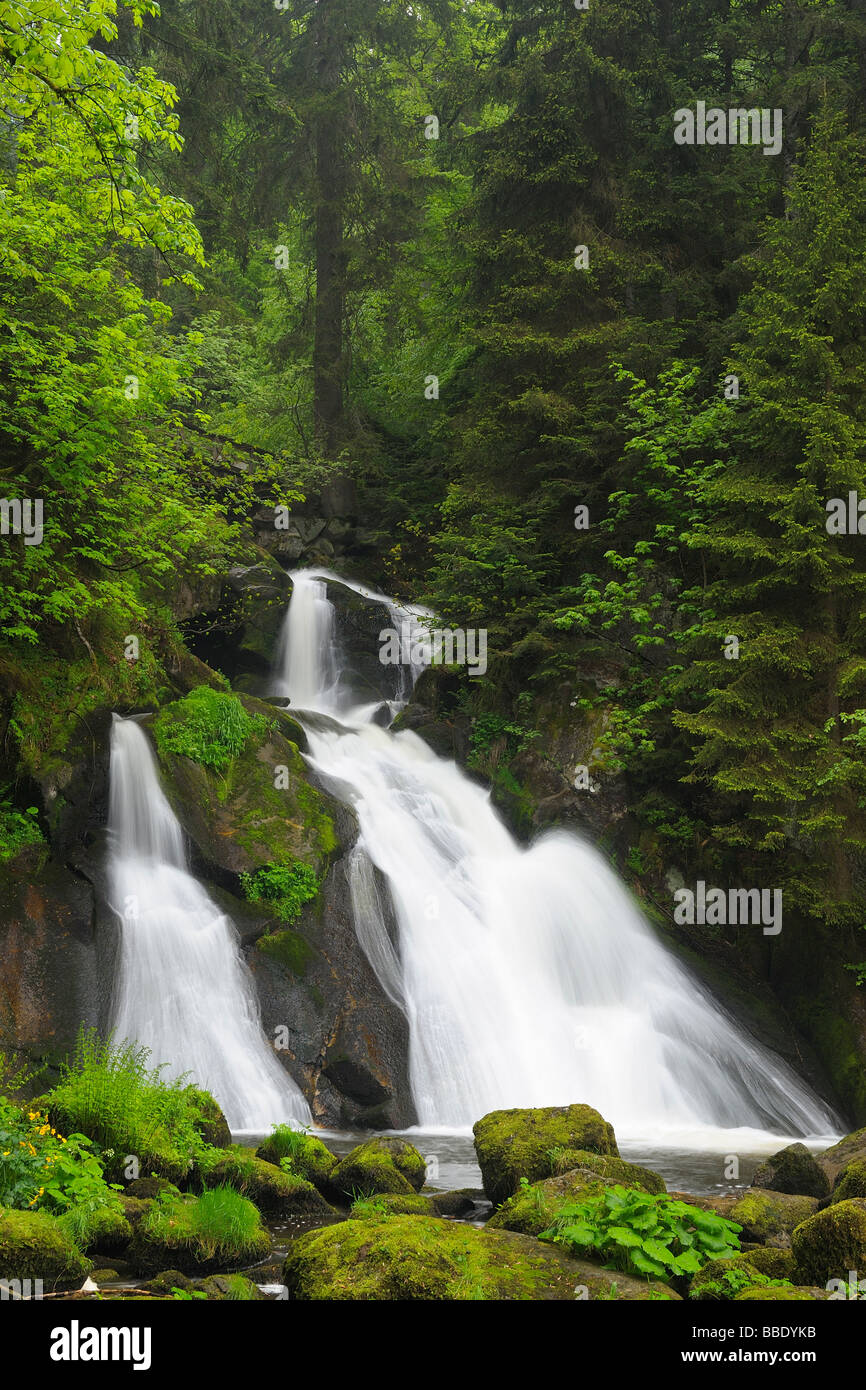 Black forest waterfall hi-res stock photography and images - Alamy