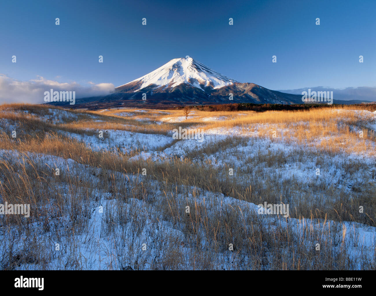 Mt.Fuji And Snow Stock Photo - Alamy