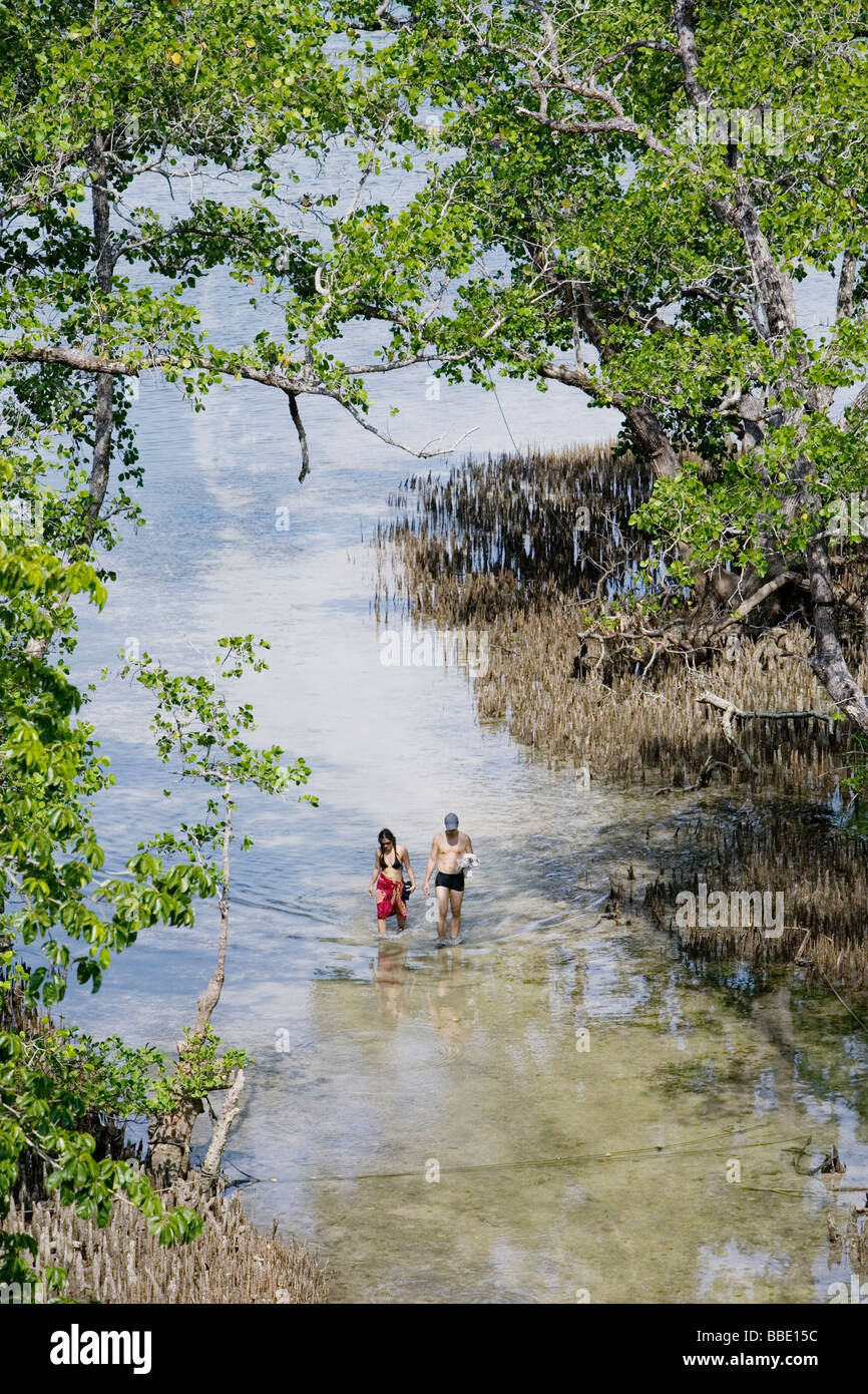 Walking in swamp hi-res stock photography and images - Alamy