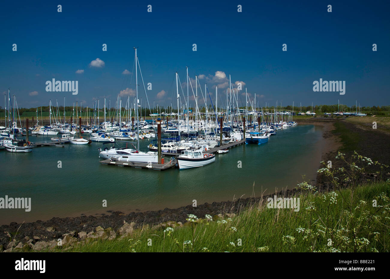 Burnham-on-Crouch Yacht Harbour Stock Photo - Alamy