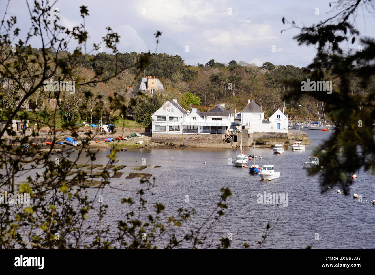 Riec-sur-Belon, Belon river Finistere Bretagne Brittany France Stock ...