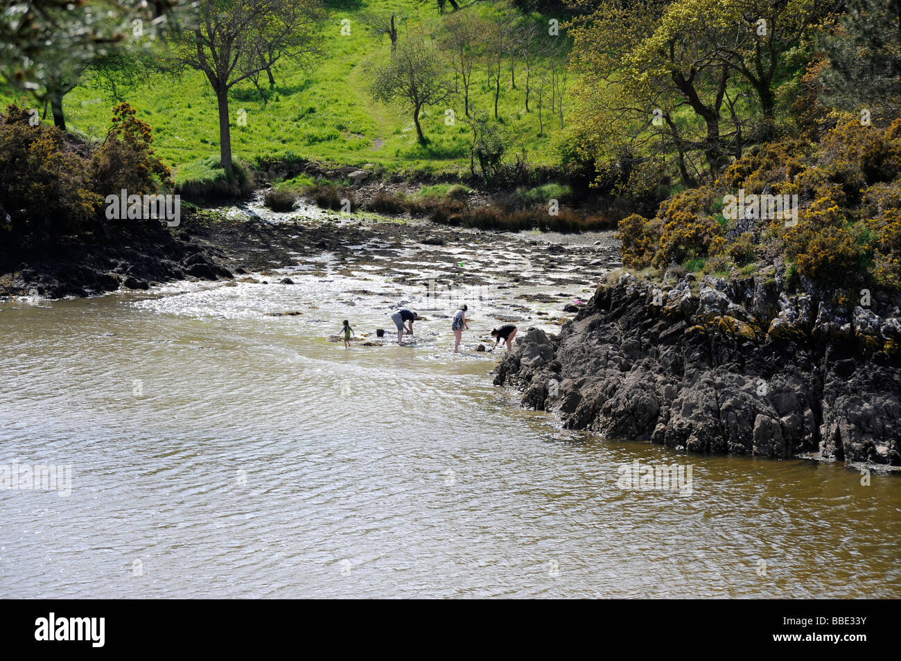 Riec-sur-Belon, Belon river Finistere Bretagne Brittany France Stock ...