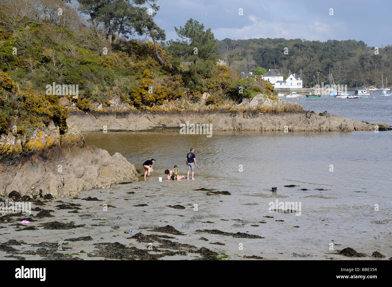 Riec-sur-Belon, Belon river Finistere Bretagne Brittany France Stock ...