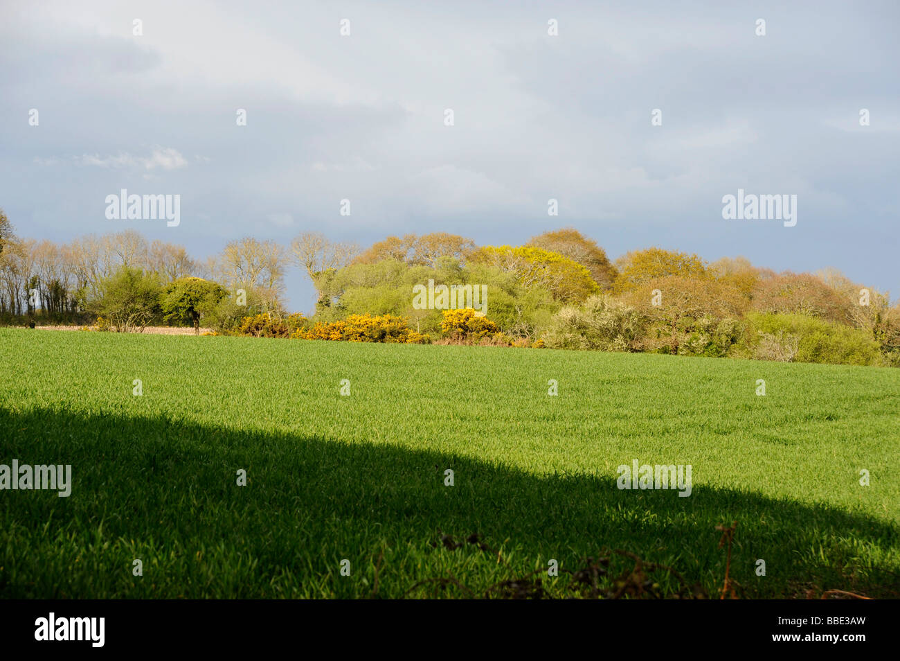 Riec Belon river Finistere Bretagne Brittany France Stock Photo - Alamy