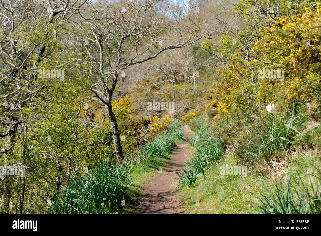 Riec-sur-Belon, Belon river Finistere Bretagne Brittany France Stock ...