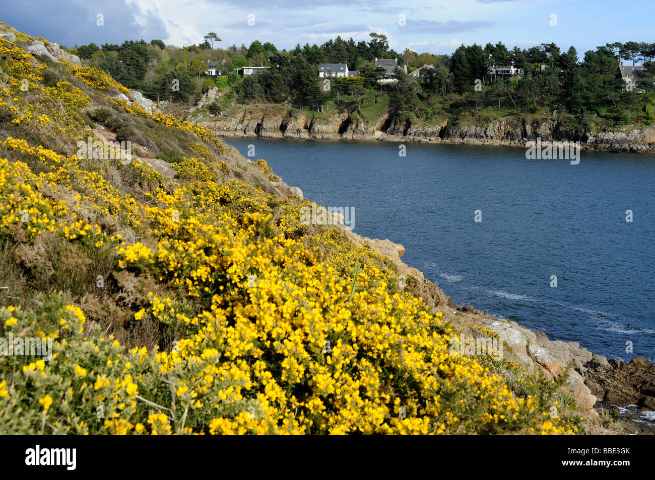 Riec-sur-Belon, Belon river Finistere Bretagne Brittany France Stock ...