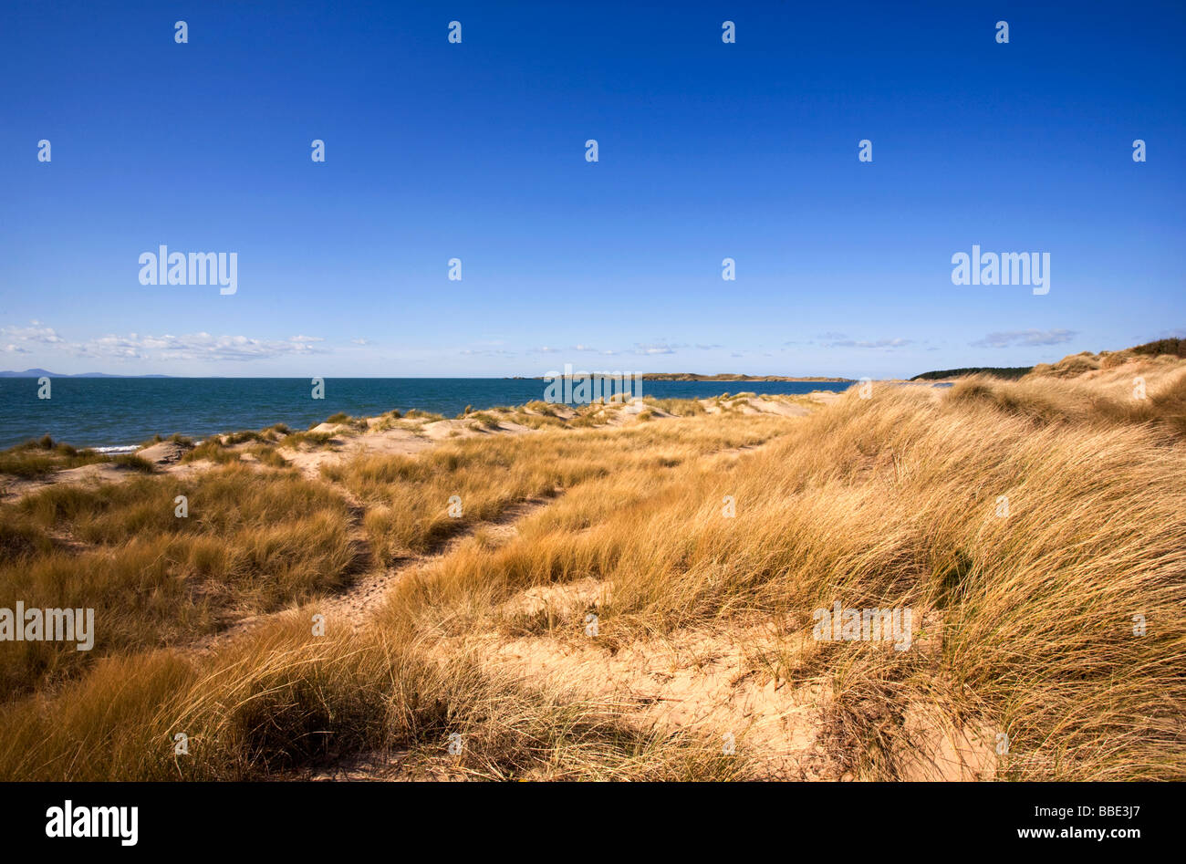 Newborough Beach on Anglesey in North Wales Stock Photo - Alamy