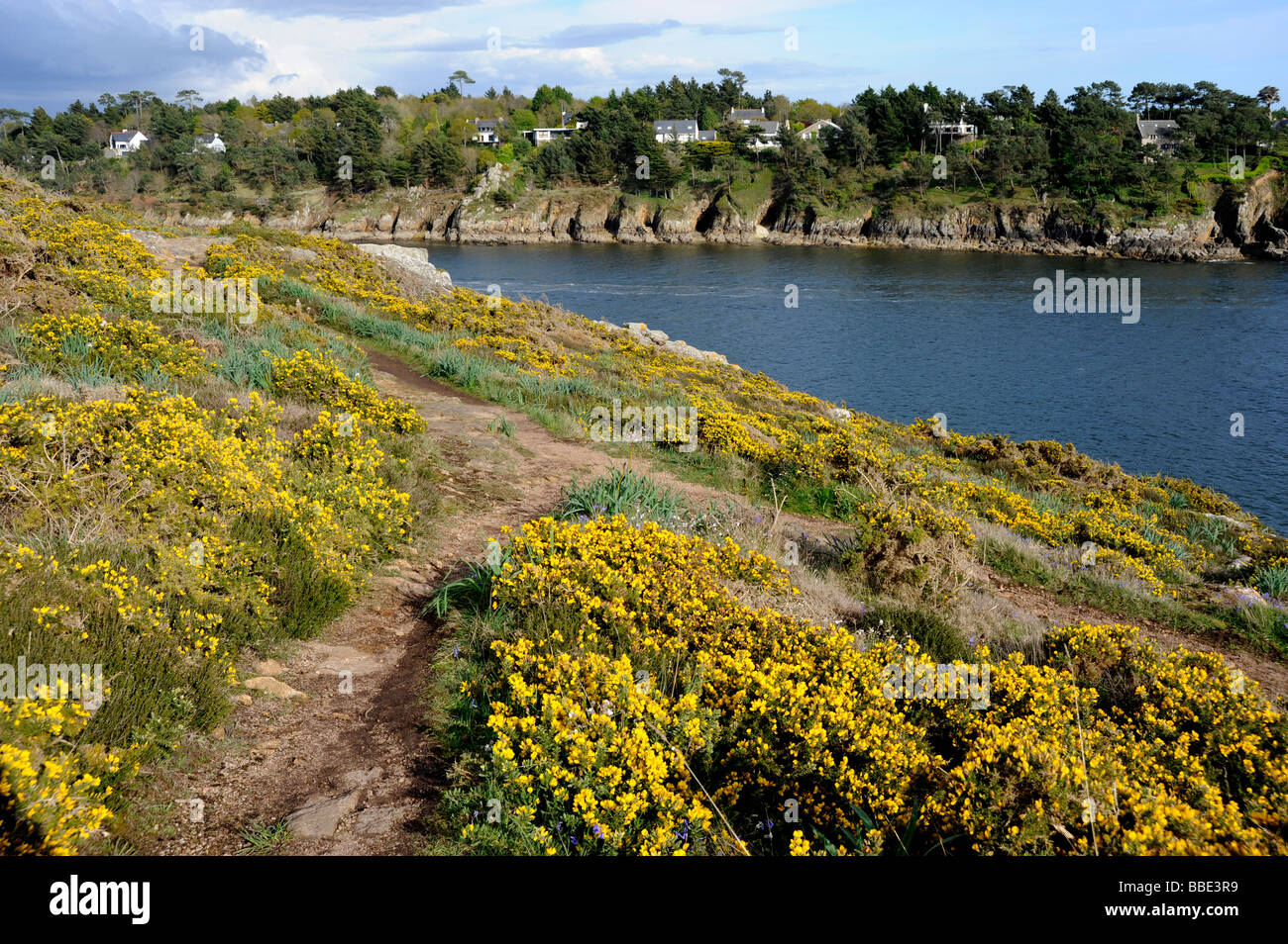 Riec-sur-Belon, Belon river Finistere Bretagne Brittany France Stock ...