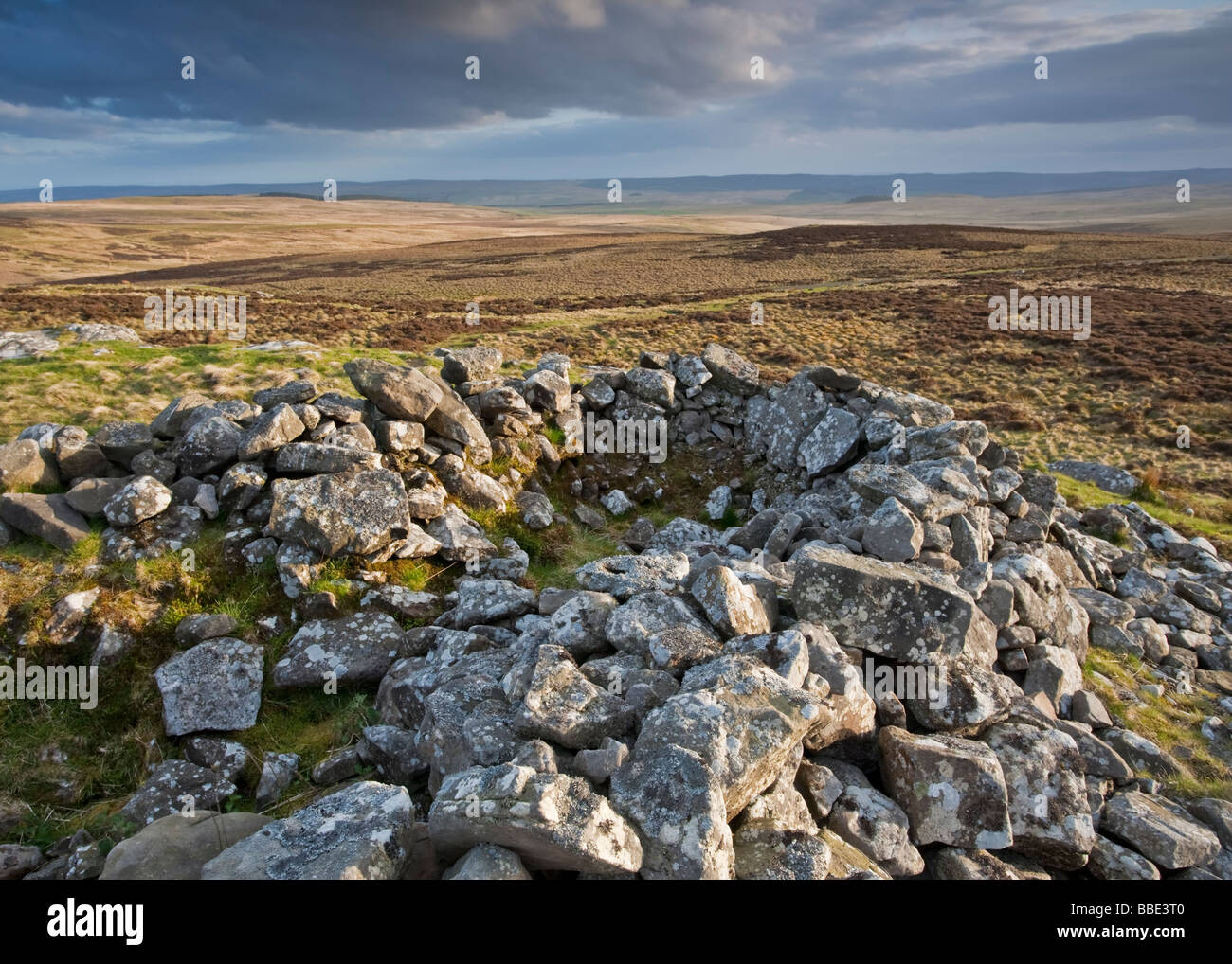 Otterburn Ranges High Resolution Stock Photography and Images - Alamy