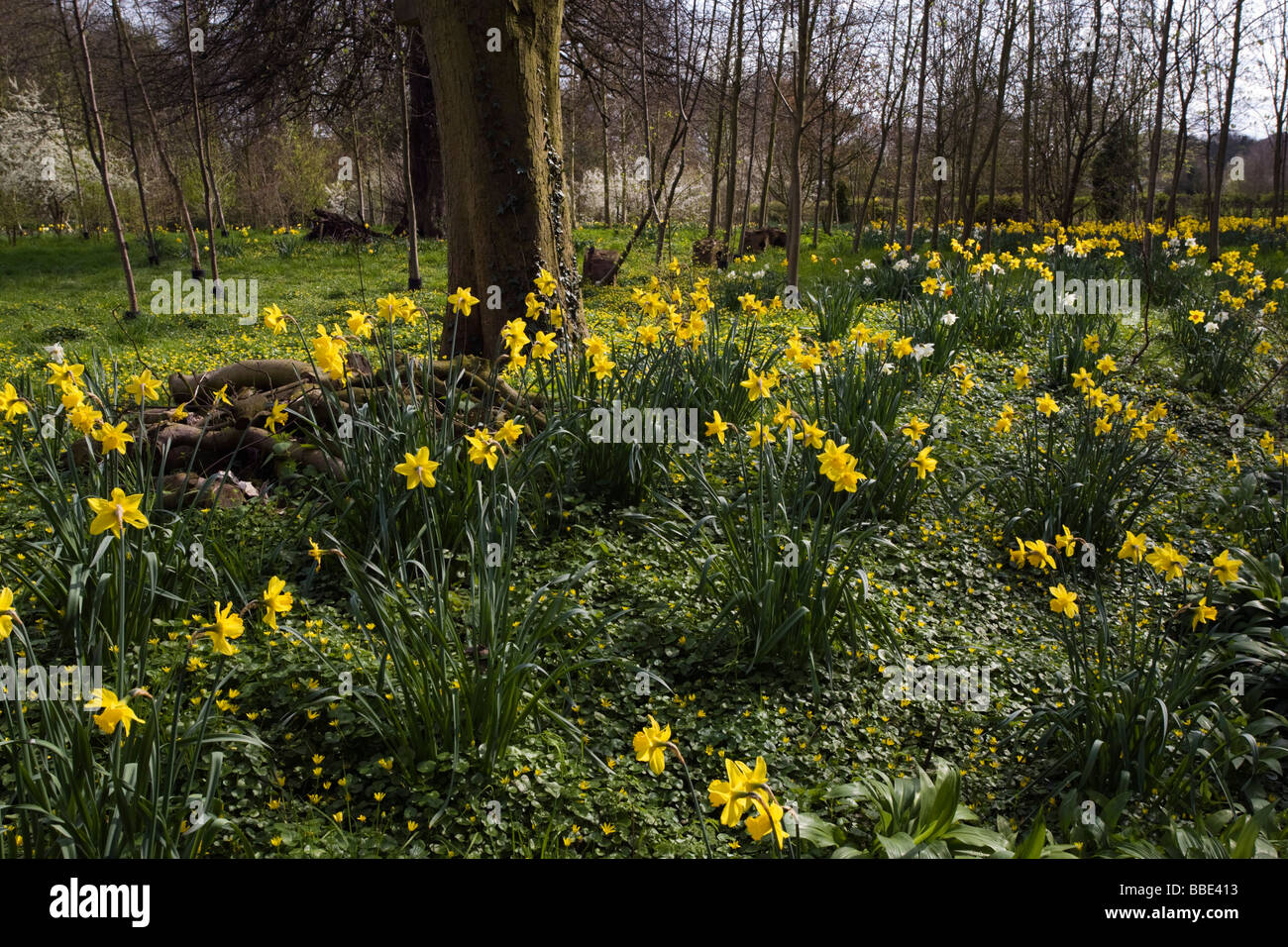Croston village hi-res stock photography and images - Alamy