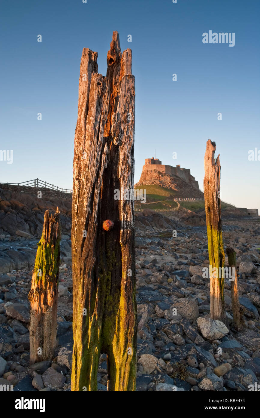 Holy island castle hi-res stock photography and images - Alamy