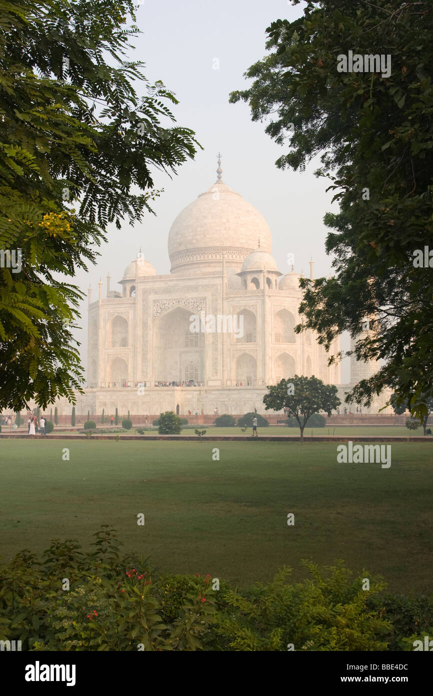 View of the taj mahal through the trees hi-res stock photography and ...
