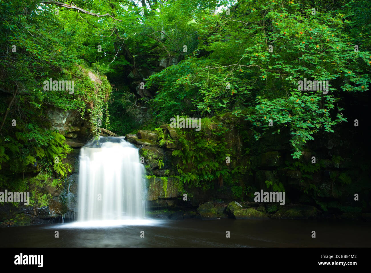 England North Yorkshire North York Moors National Park Thomason Foss ...
