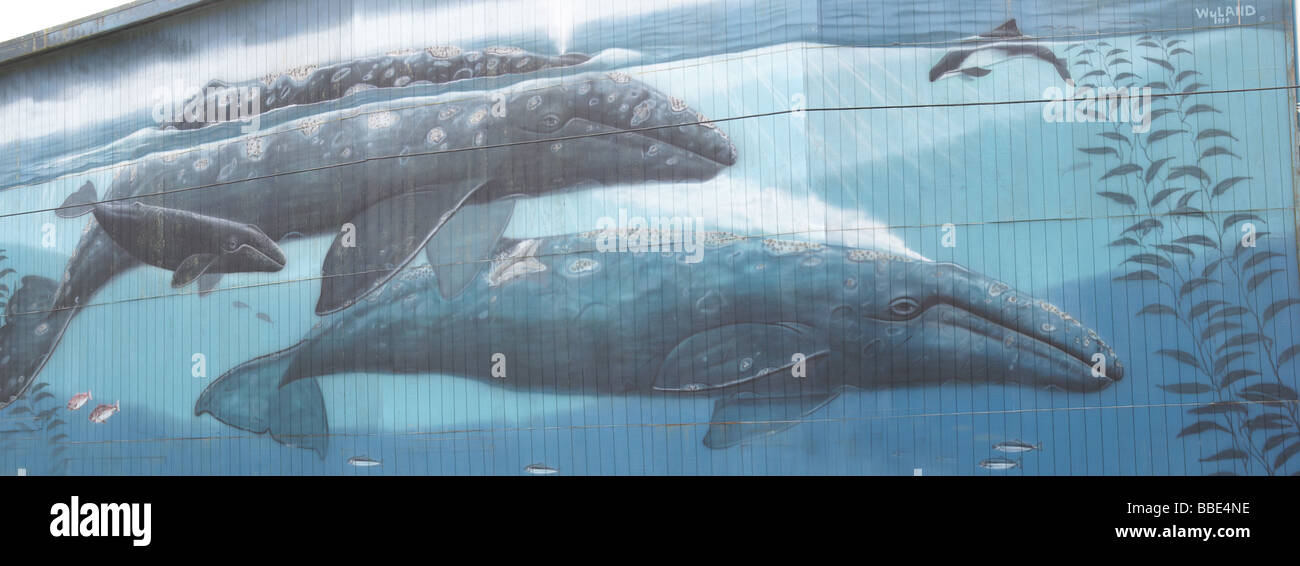 Blue whale mural hi-res stock photography and images - Alamy