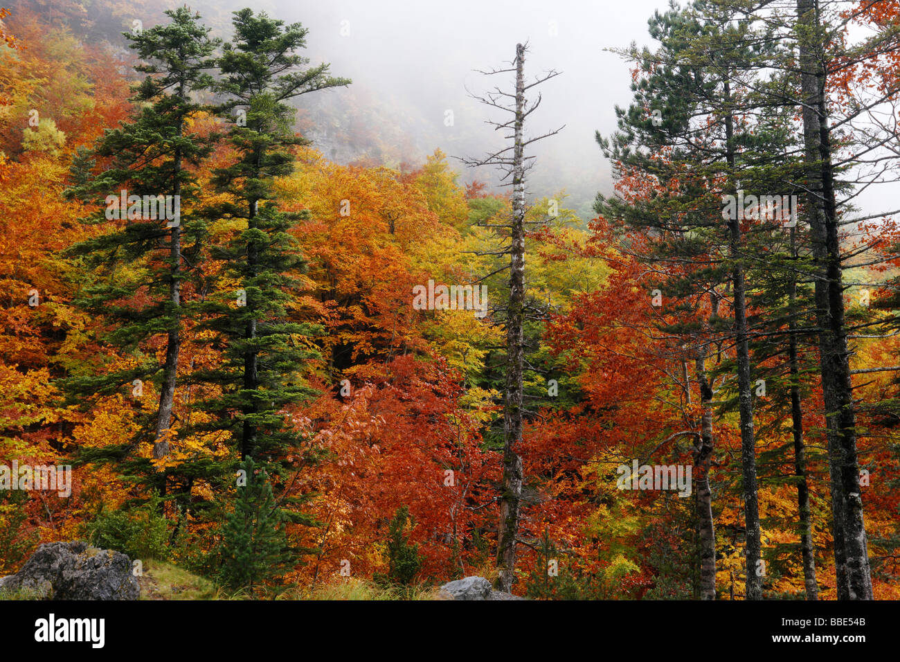 Valley of ordesa hi-res stock photography and images - Alamy