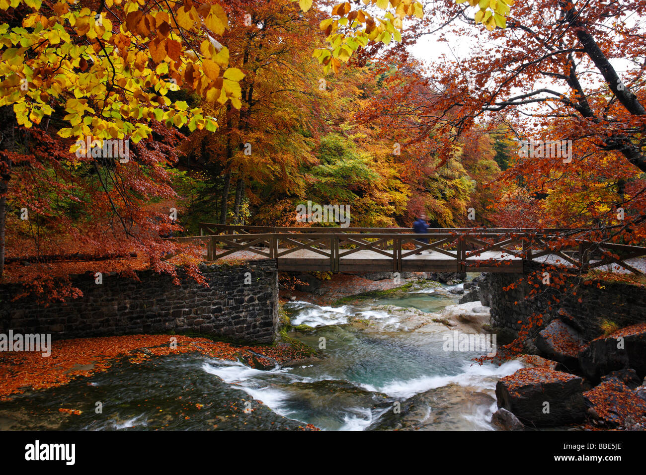 Arripas bridge, Ordesa Valley, Spanish Pyrenees Stock Photo - Alamy