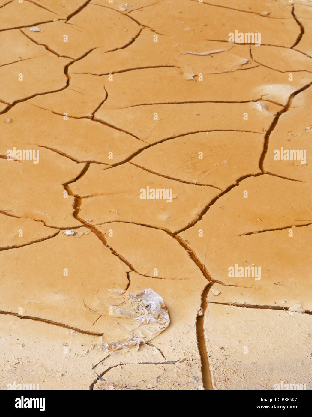 Dried pool bed with cracked mud littered with rubbish on Blast Beach ...