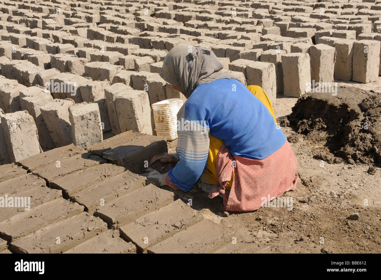 Brickworks, Ladakhi woman kneading clay bricks, Leh, Ladakh, North ...