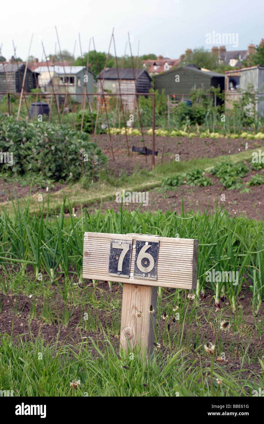 Allotment plot hi-res stock photography and images - Alamy