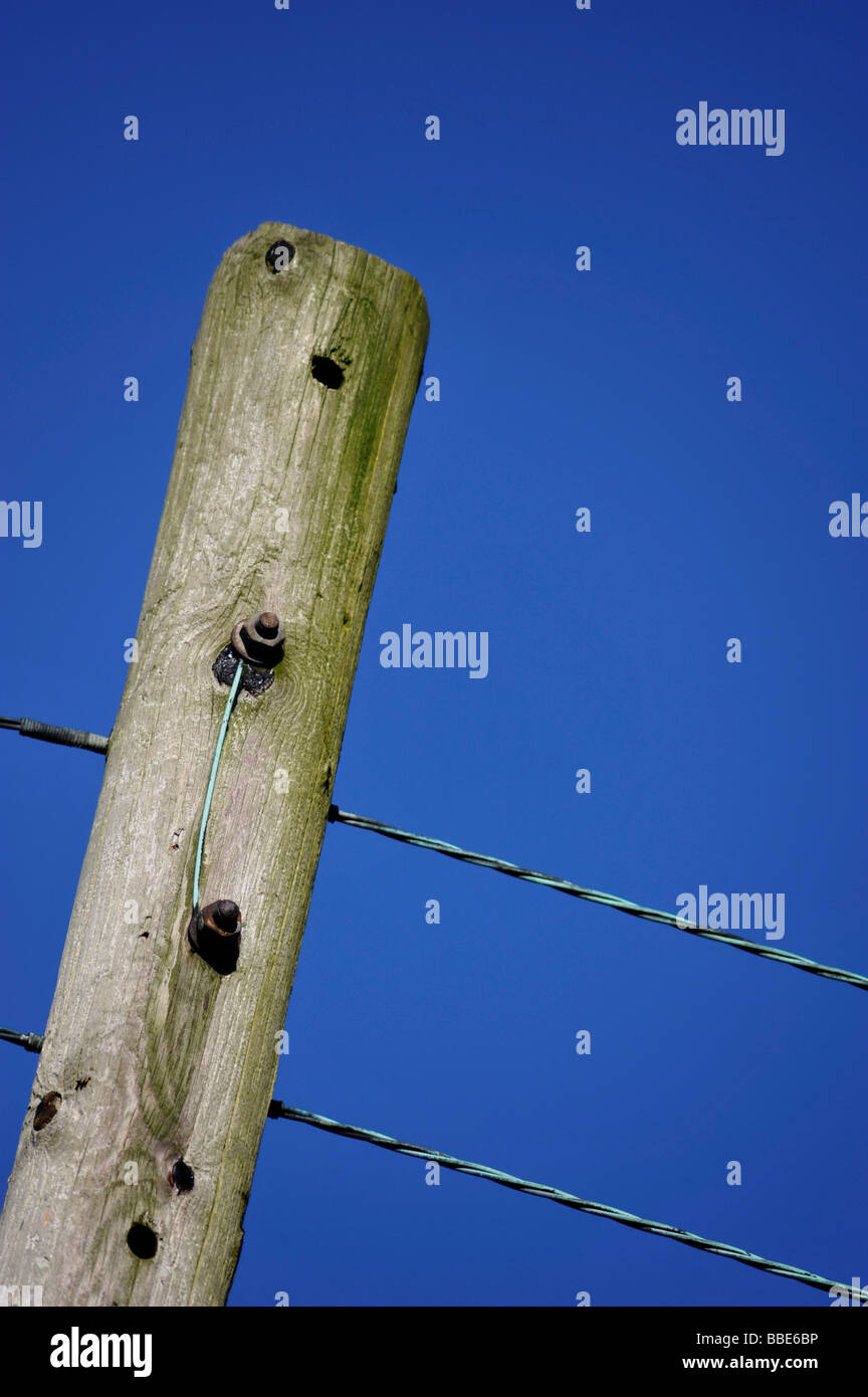 Wire carrying wooden pole hi-res stock photography and images - Alamy