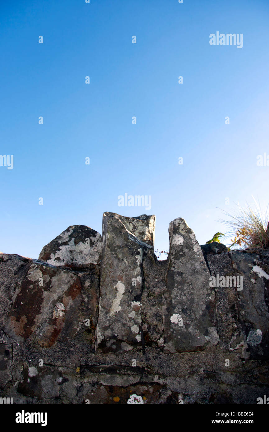 the top of an old irish stone wall Stock Photo - Alamy