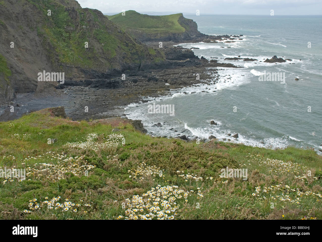 The north Cornwall coast near Morwenstow, looking south to Higher ...