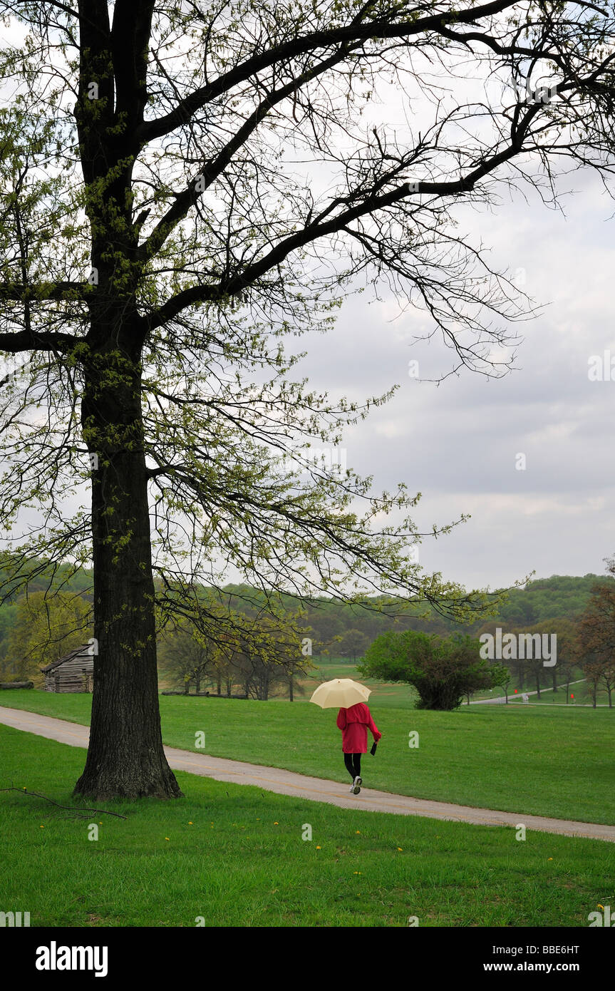 Old woman umbrella hi-res stock photography and images - Alamy
