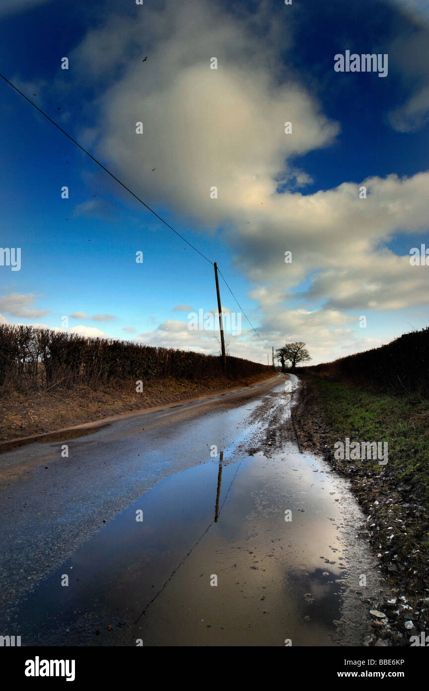 country road with puddles ellingham norfolk England Stock Photo - Alamy