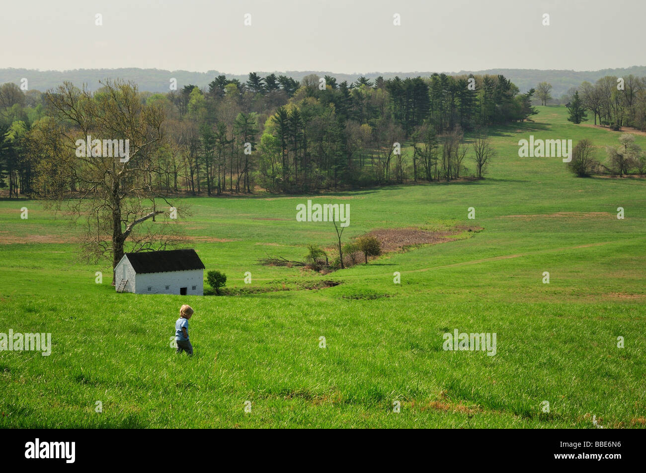 A boy enjoys a walk through the grass at the Grand Parade ground in ...