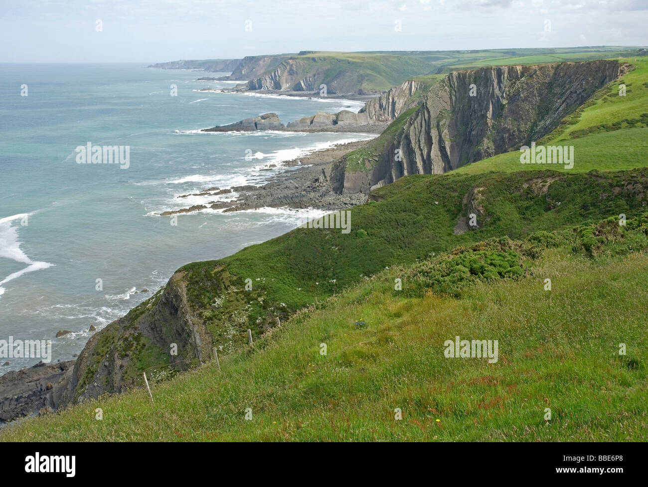 Gull rock cornwall hi-res stock photography and images - Alamy