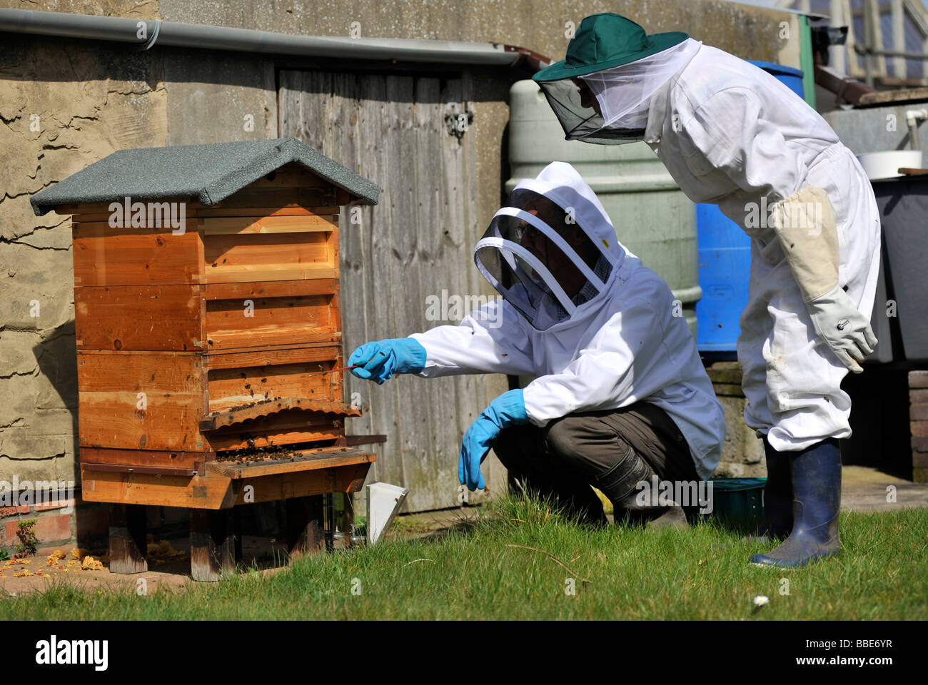 beekeepers with national style beehive Stock Photo - Alamy