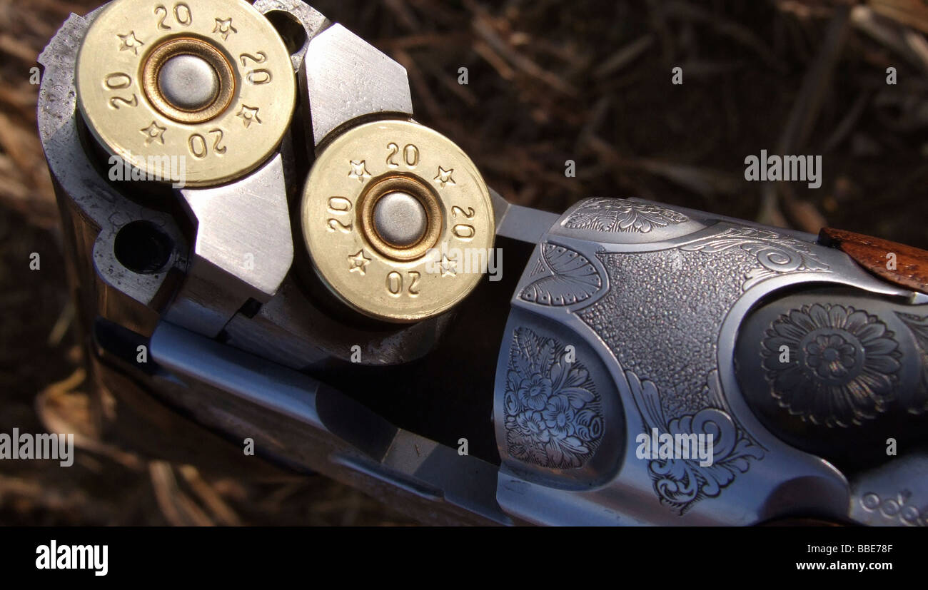 Discharged gun hi-res stock photography and images - Alamy