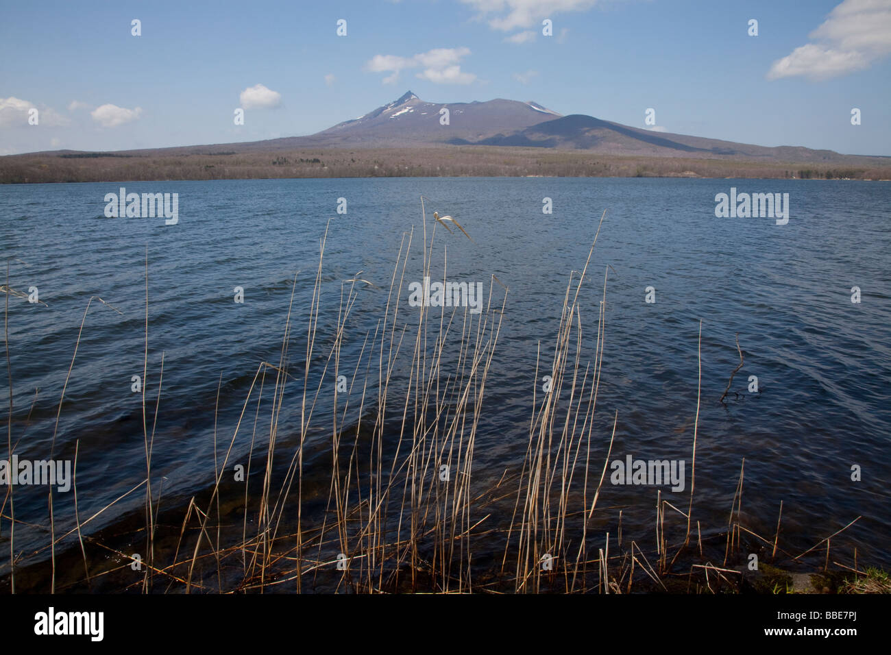 Onuma quasi national park hi-res stock photography and images - Alamy