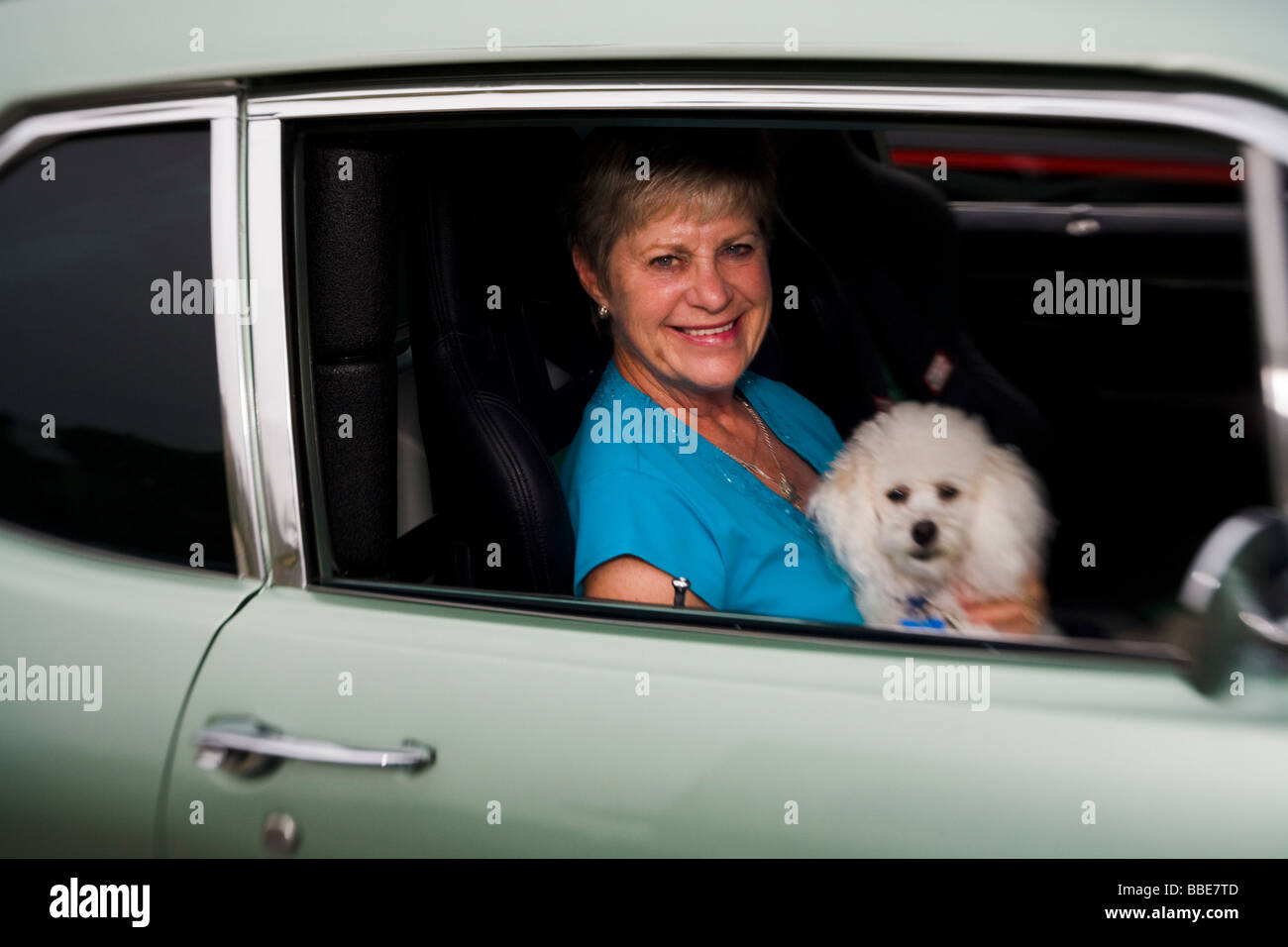 Driving in a classic car at the parade Culver City Car Show Culver City ...
