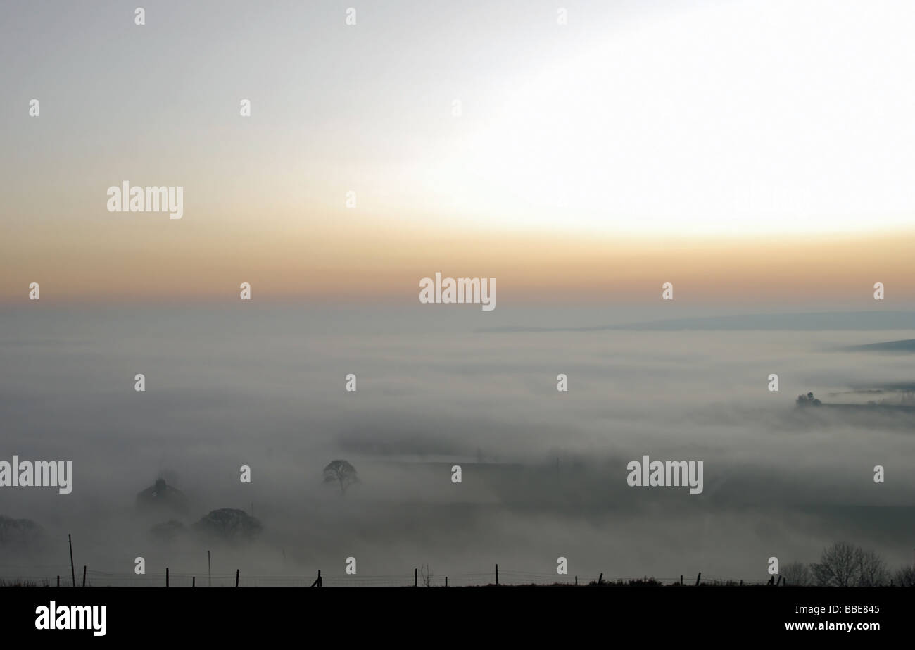 Land deciduous trees fields 1 house large visible mist foreground hi ...