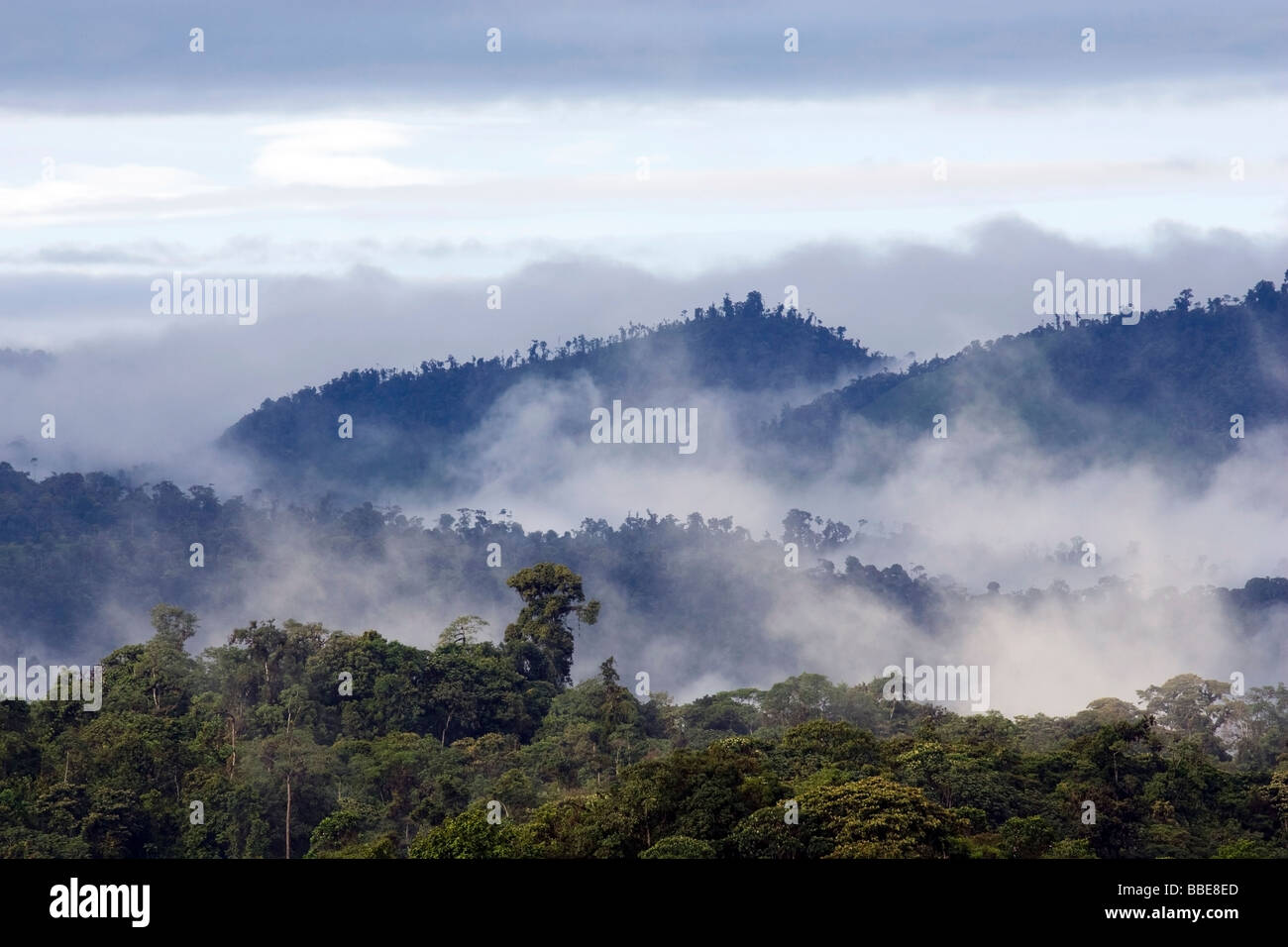 Mindo ecuador hi-res stock photography and images - Alamy