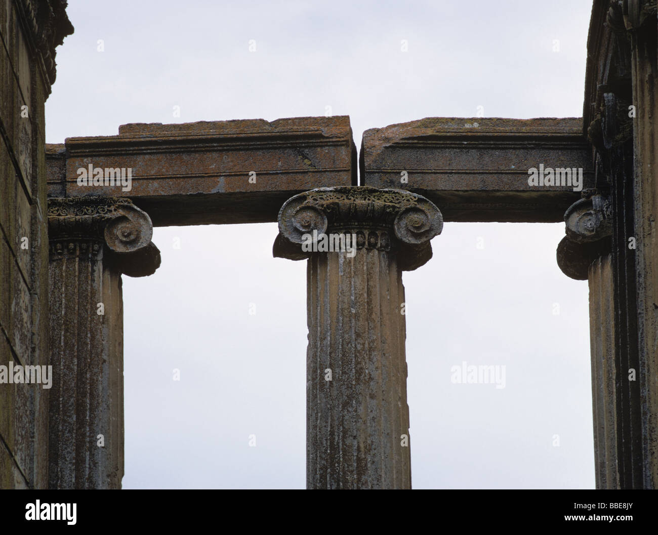 Ionic fluted column hi-res stock photography and images - Alamy