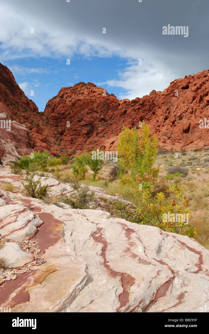 Sandstone formations and stormy sky at Red Rocks state park Nevada ...