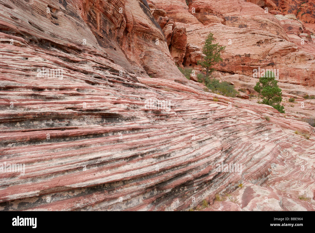 Sandstone formations at Red Rocks state park Nevada Stock Photo - Alamy