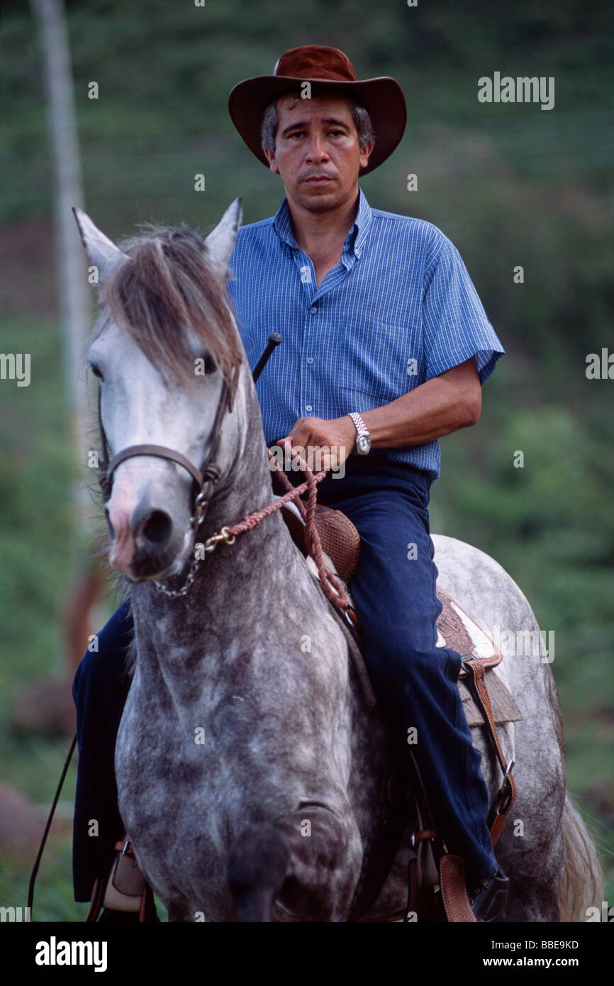 Gaucho riding on Paso Costarricense, stallion, Costa Rica, South ...