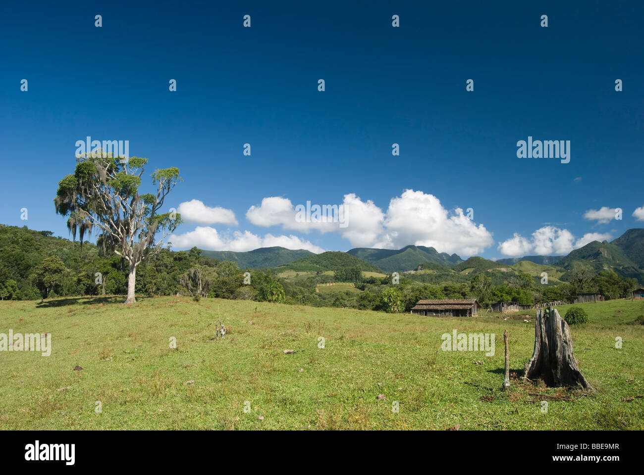 Muller brazil hi-res stock photography and images - Alamy