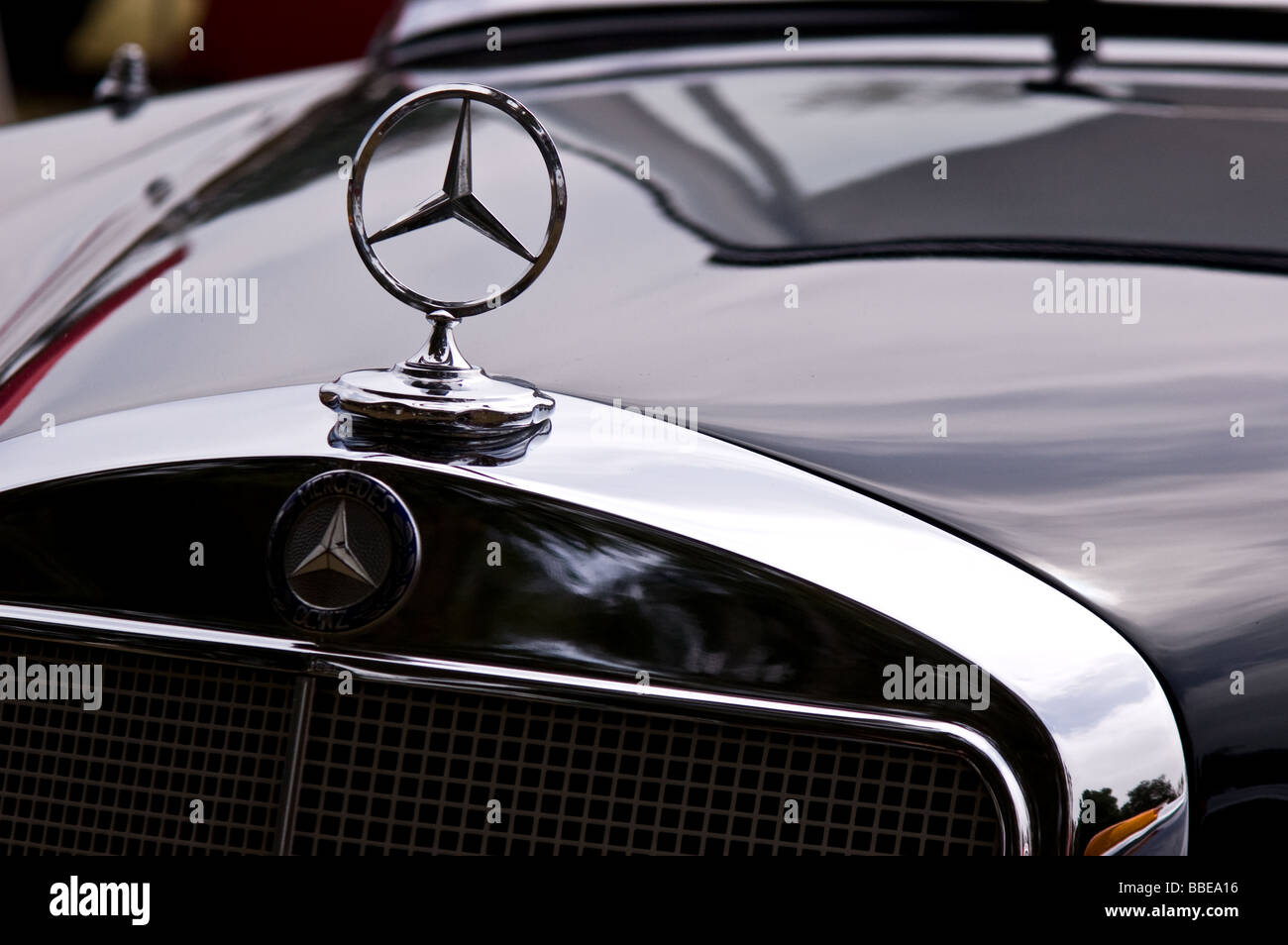The hood and hood ornament of a Mercediz-Benz at the Muckenthaler ...