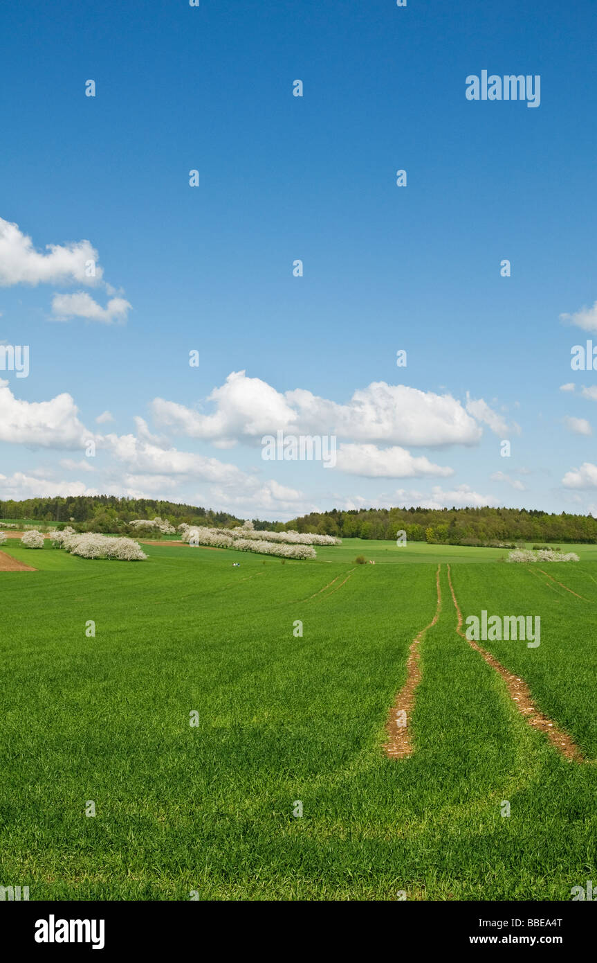 Spring farm fields, Franconia, Bavaria, Germany Stock Photo - Alamy
