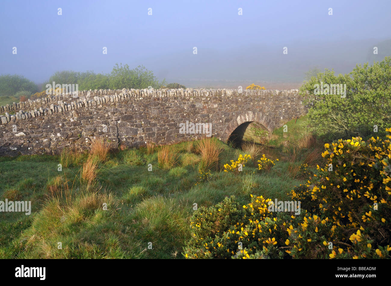 Moor lane bridge High Resolution Stock Photography and Images - Alamy