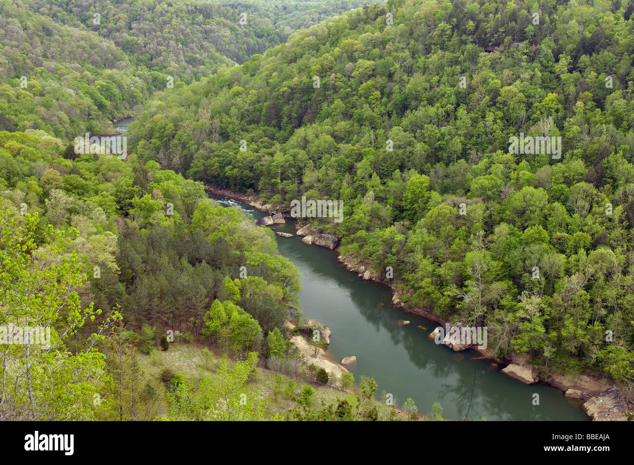 View of the Cumberland River from Devils Jump Overlook in Big South ...