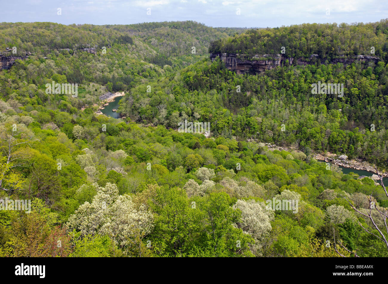 Devils Fork Stock Photos & Devils Fork Stock Images - Alamy